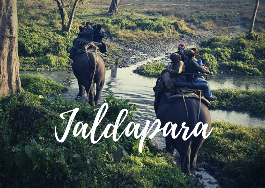 JALDAPARA : Closest to the wilds – Travel Chhuti Chhuti
