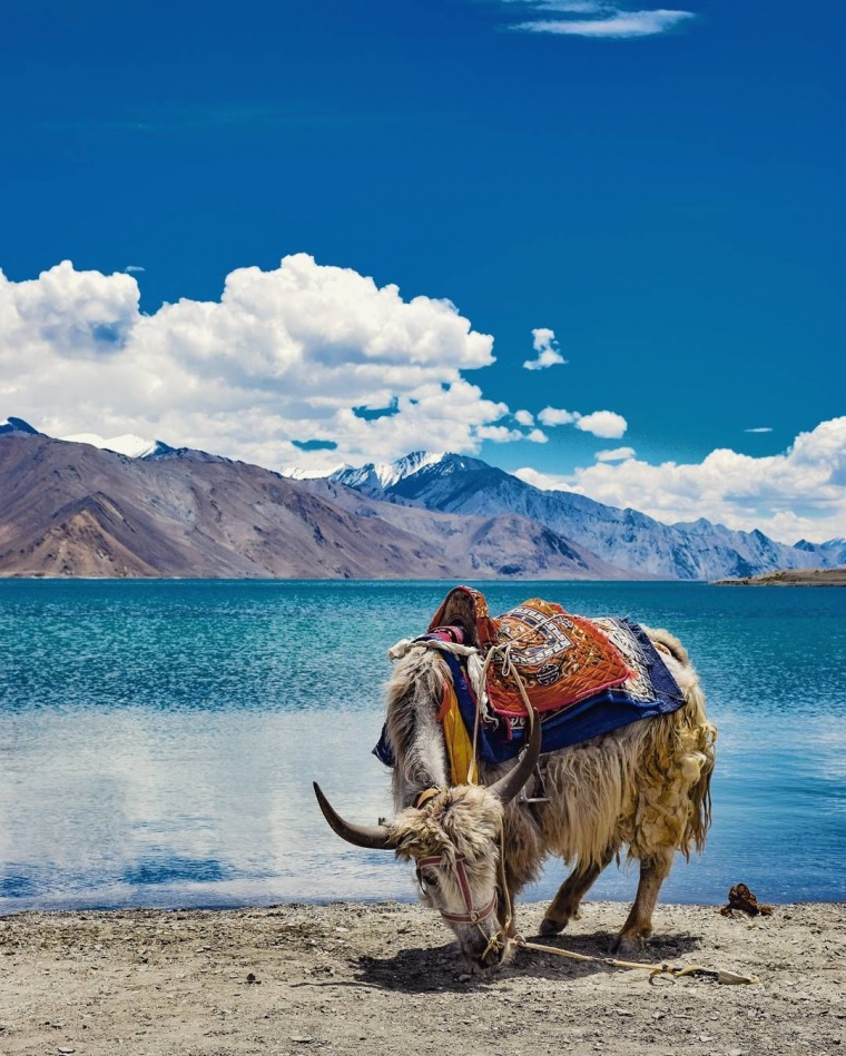 PANGONG LAKE: Encounter the sensational breeze and heavenly feels ...