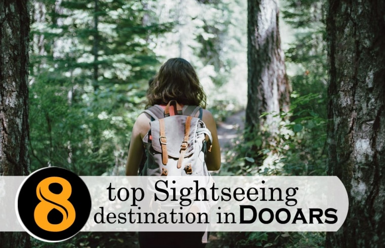 Top 9 Sightseeing attraction of Dooars – Travel Chhuti Chhuti