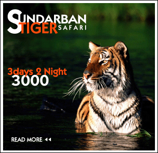 Dooars Travel Guide || Hotel in Dooars